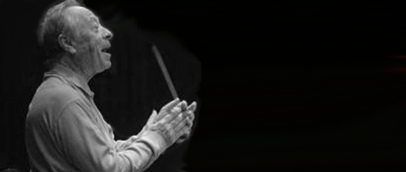 1980-1989 – Archivio Alberto Zedda